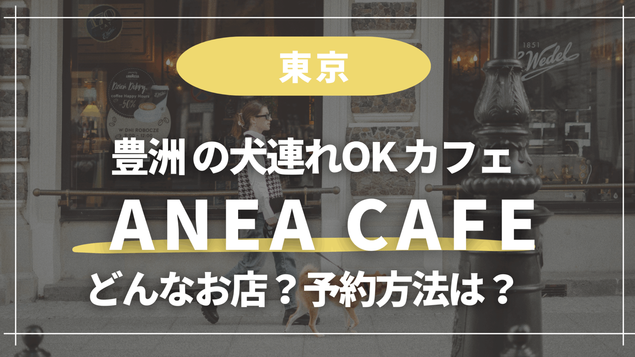 豊洲 の【犬連れ】 新設カフェ｜ANEA CAFEがNewOpen！愛犬と楽しむ癒し時間 | 犬と旅する＆kids